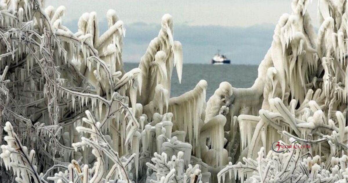 Inverno Glacial: Como um fenómeno raro no Ártico pode transformar o ...
